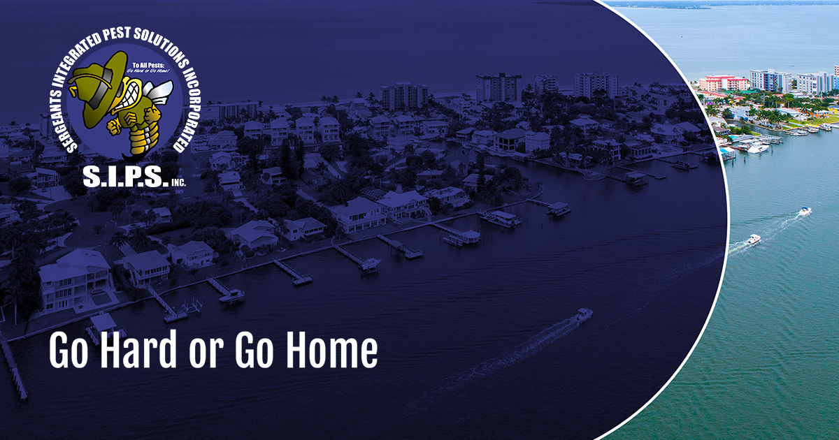 Pest Control in Naples | Sergeants Integrated Pest Solutions